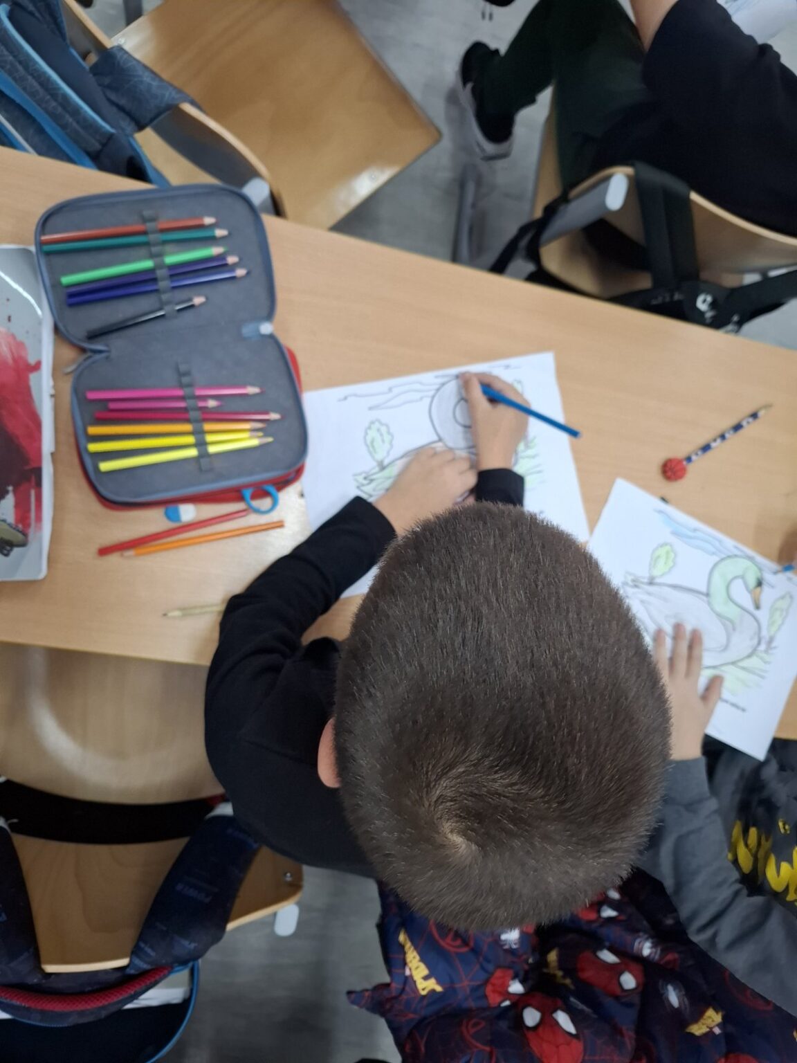 17 | October | 2025 | Osma osnovna škola "Amer Ćenanović"